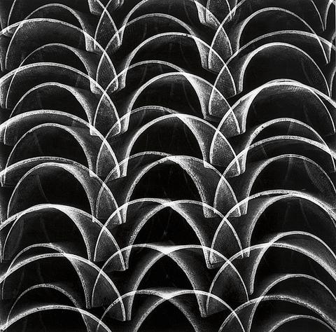 Curvas Concêntricas | Enciclopédia Itaú Cultural