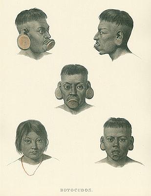 Botocudos | Enciclopédia Itaú Cultural