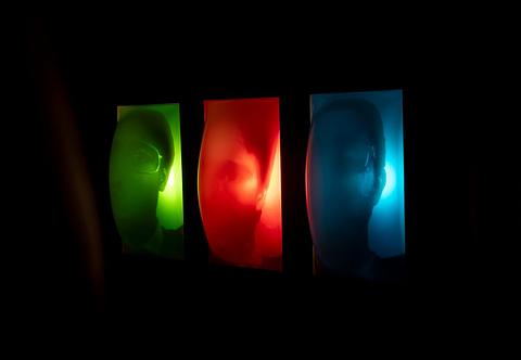 Rosângela Rennó | Enciclopédia Itaú Cultural