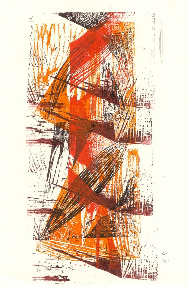 Etnia Indígena Kayapó | Enciclopédia Itaú Cultural