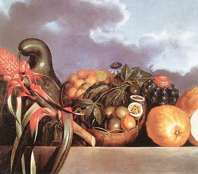 Cabaça, Frutas Cítricas e Cacto | Enciclopédia Itaú Cultural