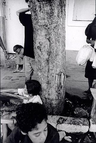 Quem Somos Nós | Enciclopédia Itaú Cultural