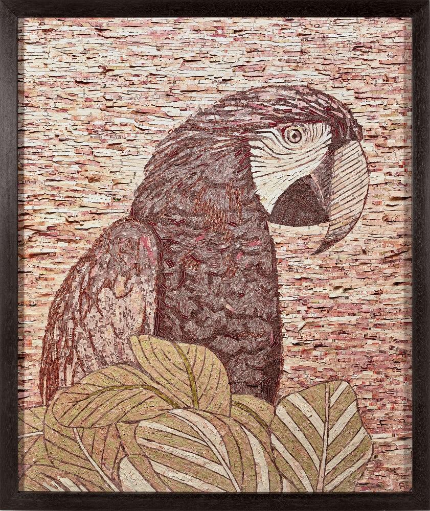 Dinheiro vivo: Arara | Enciclopédia Itaú Cultural