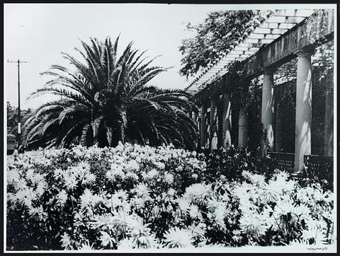 Trianon (São Paulo, SP) | Enciclopédia Itaú Cultural